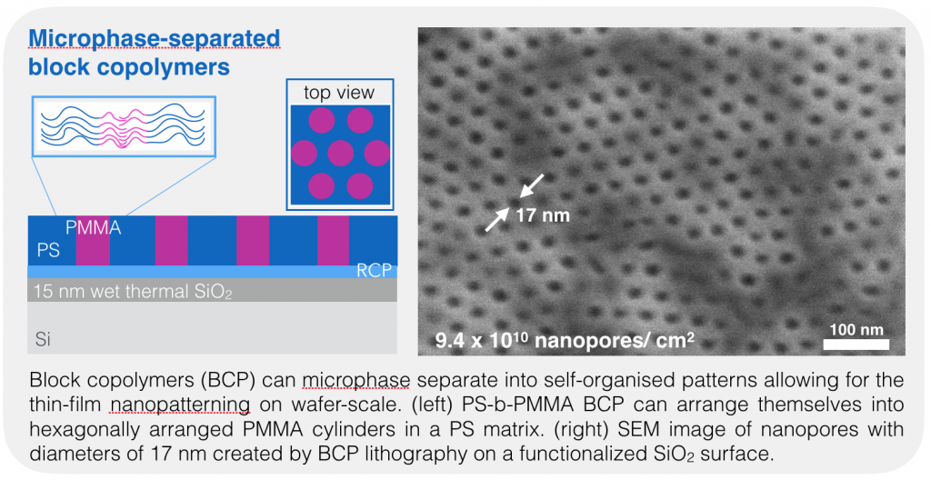 Basics on block copolymer (BCP) lithography | Blog von Katharina Brassat