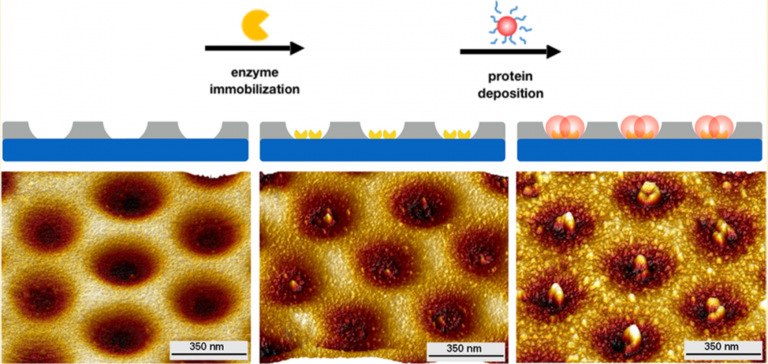 Structured protein coatings by NSL and EMA | Blog von Katharina Brassat